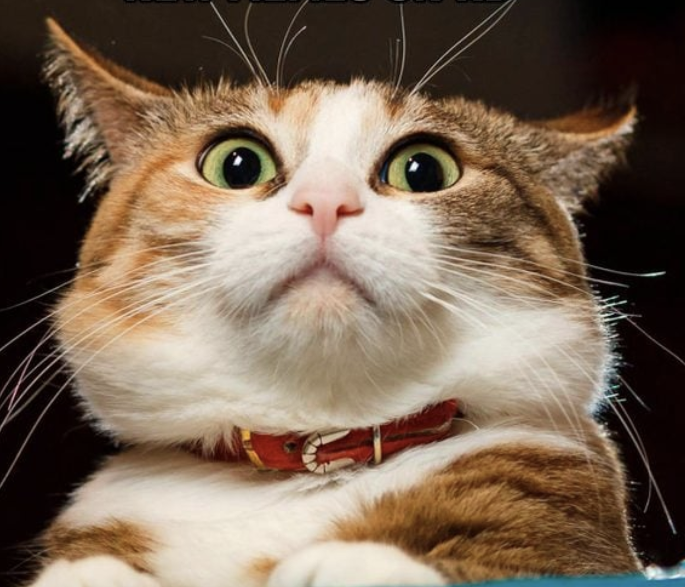 Hiring manager freestyle - Informed Decisions