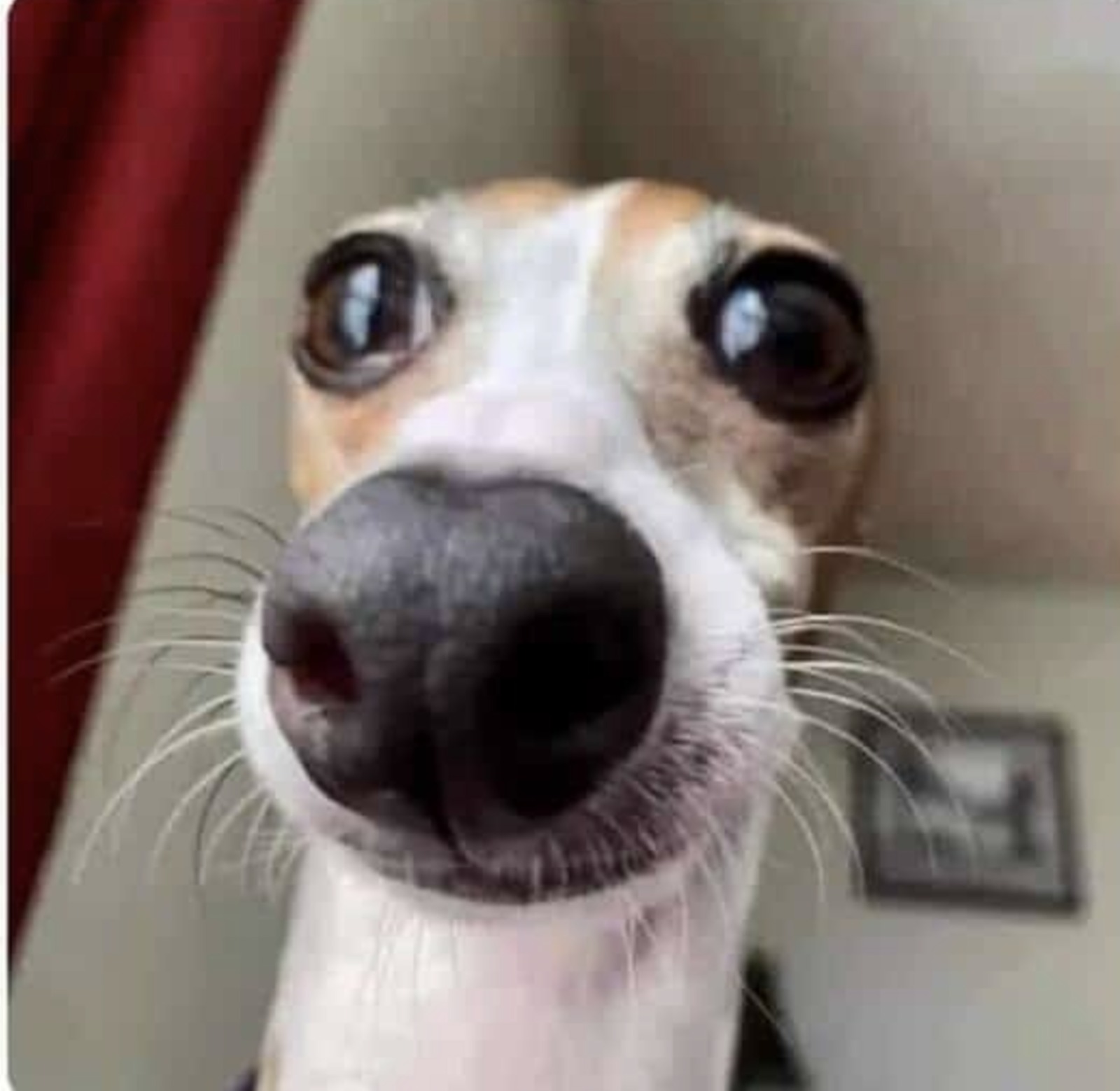 Me, waiting for a late candidate to join a Zoom interview… - Informed ...